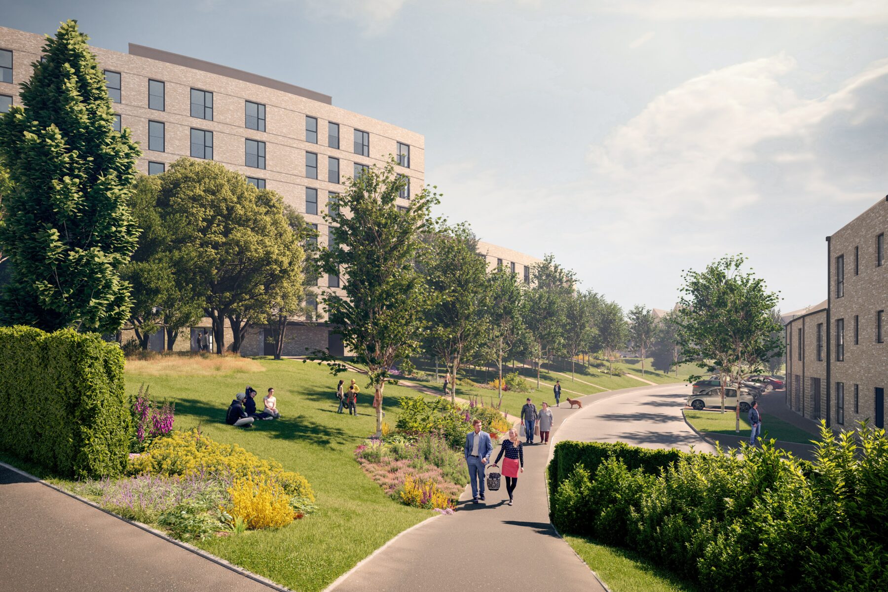 Belgrave Middleway, Birmingham - Dalbergia