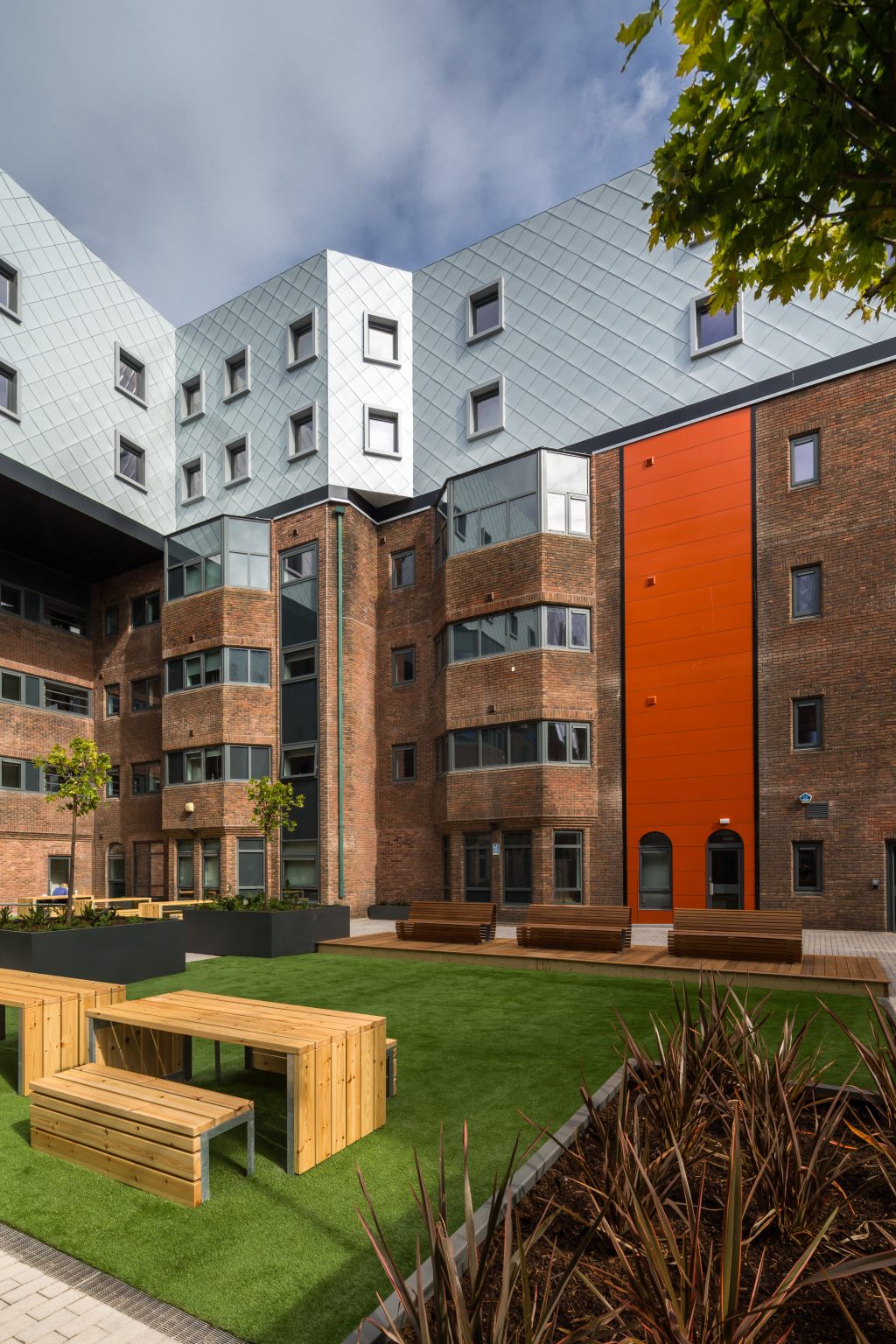 Fitzalan, Cardiff - Dalbergia